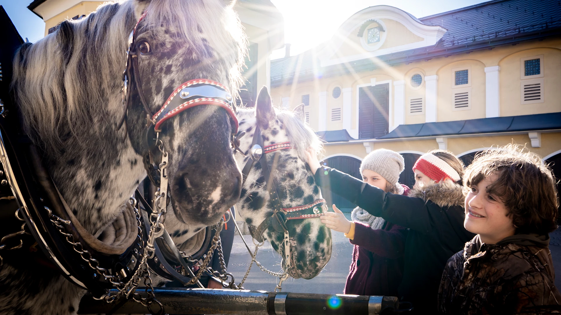 Servus Kinder in der Mediathek bei ServusTV On